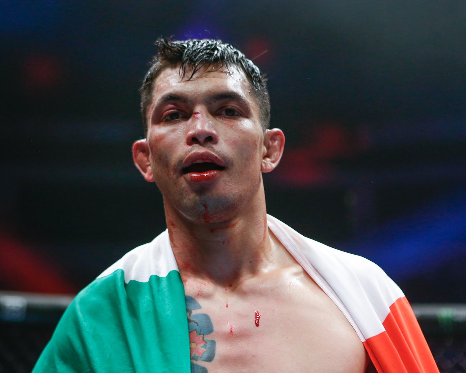 » Determination: The Fight of the “Gallo Negro”