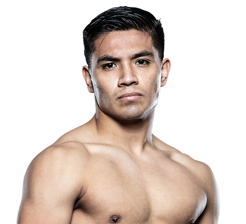 Combate Titulares de las Américas Luchadores Hispanos de MMA